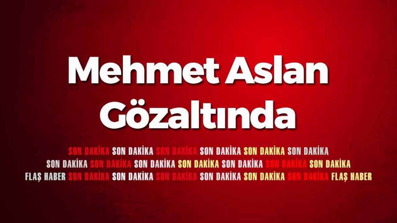 Mehmet Aslan Gözaltında - Samsun Haber | Samsun Son Dakika ve Samsunspor Haberleri
