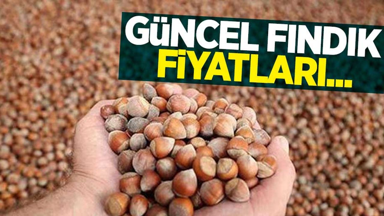Fındığın kilosu kaç TL? İşte 4 Mart Perşembe güncel fındık fiyatları ... Fındığın kilosu kaç TL? İşte 4 Mart Perşembe güncel fındık fiyatları ...