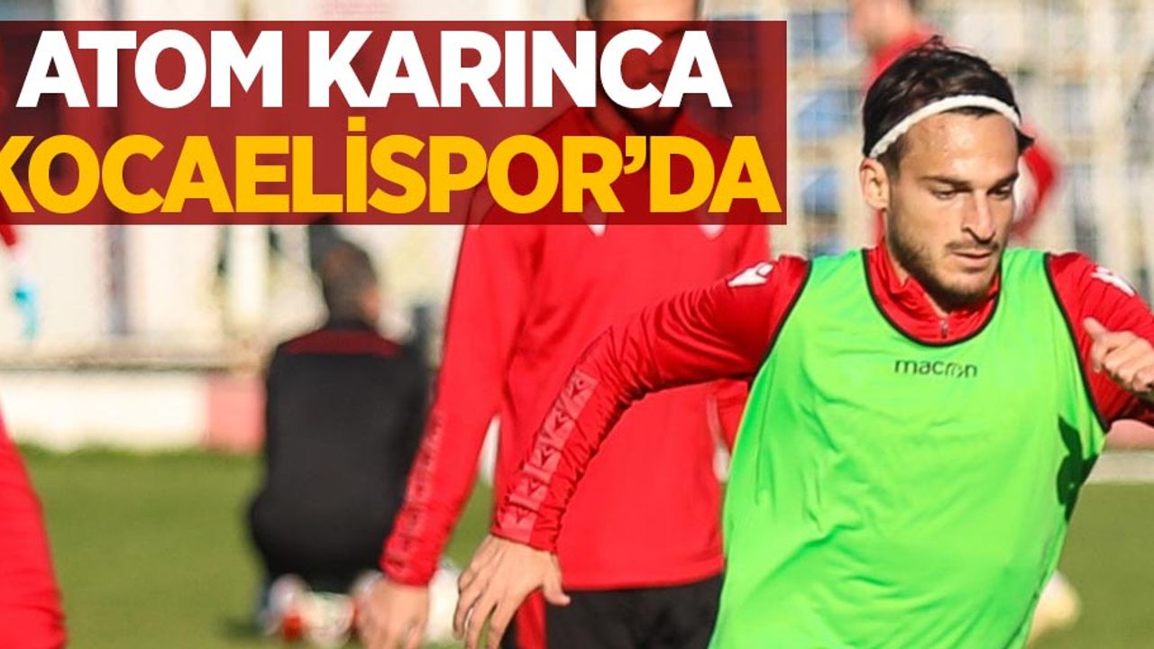 Atom karınca Kocaelispor’da - Samsun Haber | Samsun Son Dakika ve Samsunspor Haberleri