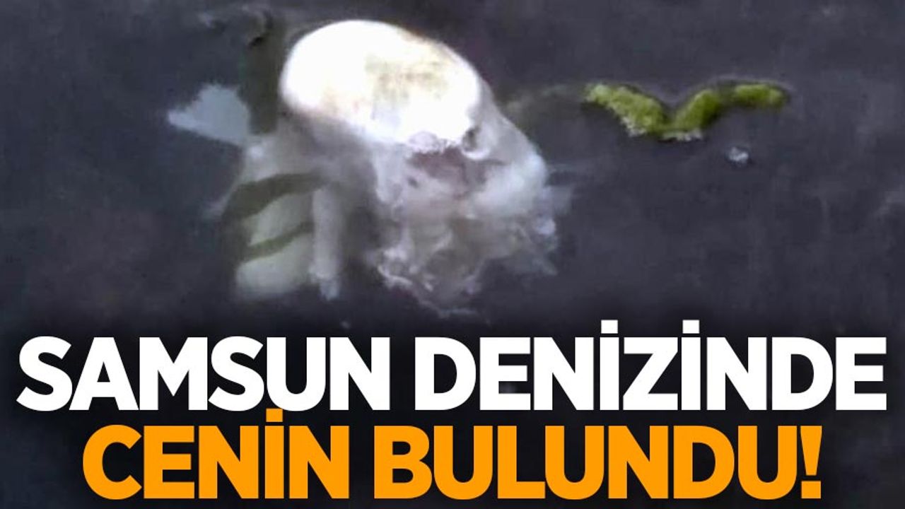Samsun denizde cenin bulundu - Samsun Haber | Samsun Son Dakika ve ...