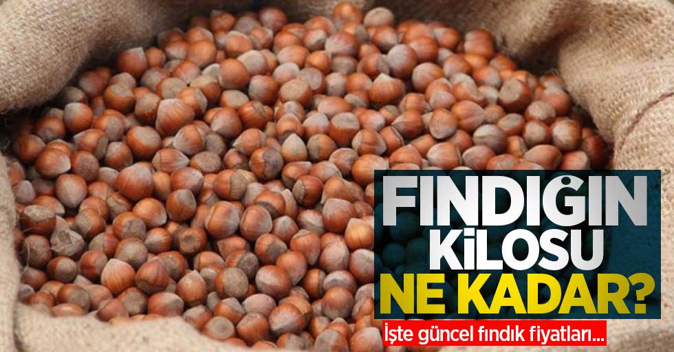 Fındığın kilosu kaç TL? İşte 21 Mart Pazar güncel fındık fiyatları ... Fındığın kilosu kaç TL? İşte 21 Mart Pazar güncel fındık fiyatları ...