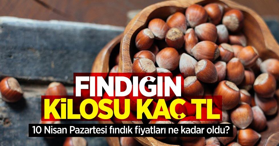 Fındığın kilosu kaç TL? 10 Nisan Pazartesi fındık fiyatları ne kadar ... Fındığın kilosu kaç TL? 10 Nisan Pazartesi fındık fiyatları ne kadar ...