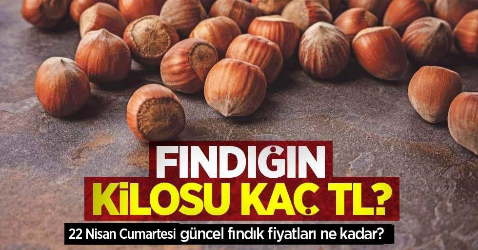 Fındığın kilosu kaç TL? 22 Nisan Cumartesi fındık fiyatları ne kadar ... Fındığın kilosu kaç TL? 22 Nisan Cumartesi fındık fiyatları ne kadar ...