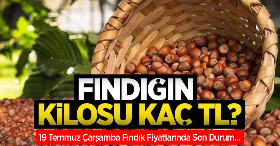 Fındığın kilosu kaç TL? 19 Temmuz Çarşamba fındık fiyatları ne kadar ... Fındığın kilosu kaç TL? 19 Temmuz Çarşamba fındık fiyatları ne kadar ...