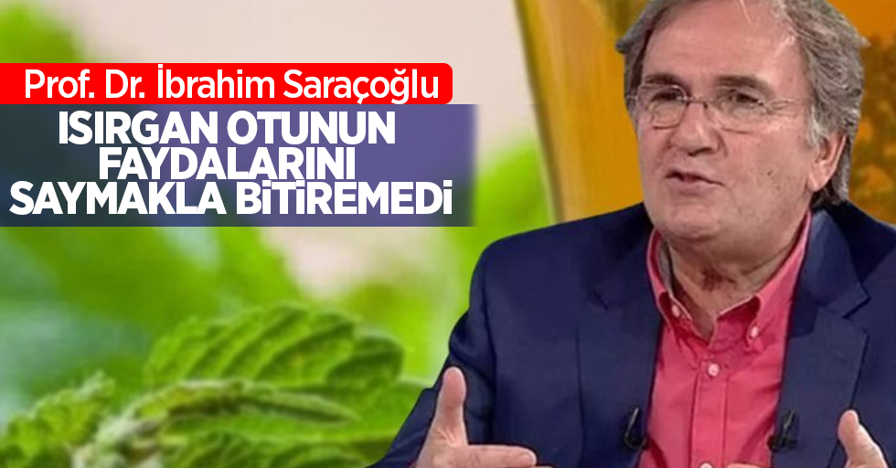 Prof. Dr.İbrahim Saraçoğlu Isırgan otunun faydalarını saymakla ...