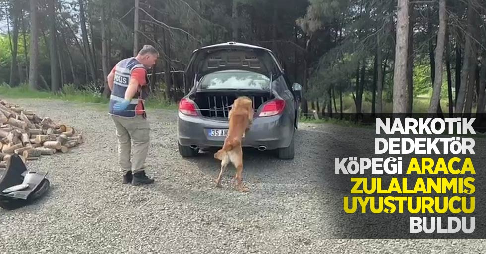 Narkotik dedektör köpeği araca zulalanmış uyuşturucu buldu: 12 gözaltı ...