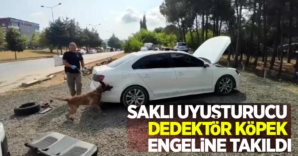Saklı uyuşturucu dedektör köpek engeline takıldı - Samsun Haber ...