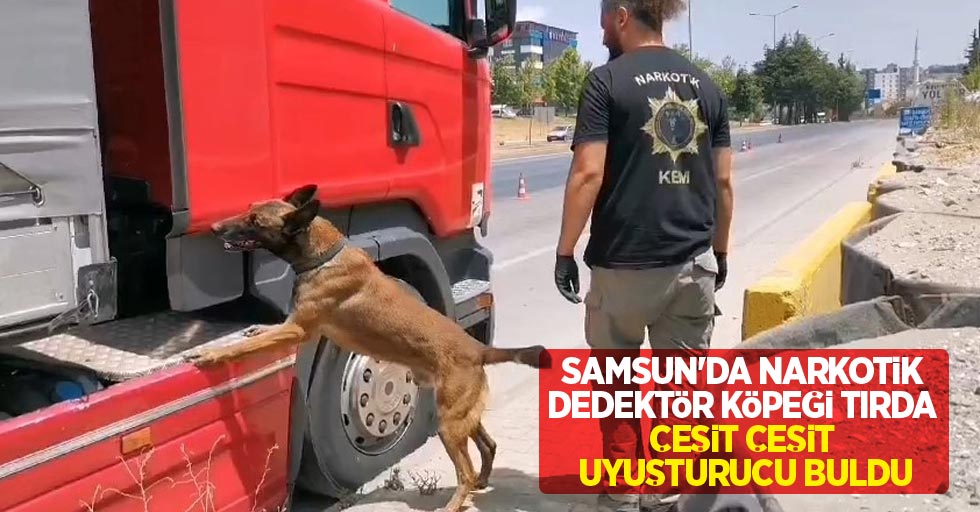 Samsun'da narkotik dedektör köpeği tırda çeşit çeşit uyuşturucu buldu ...