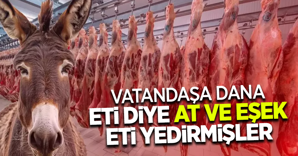 Vatandaşa dana eti diye at eti ve eşek eti yedirmişler - Samsun Haber ...