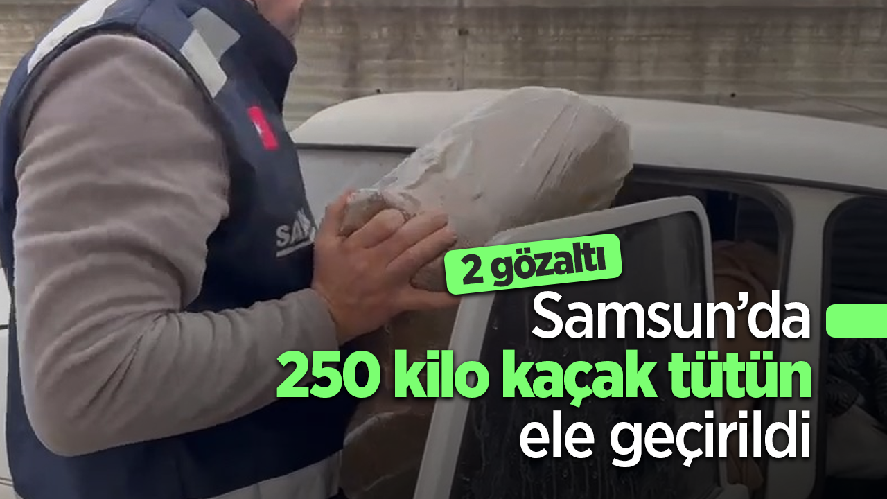 Samsun’da 250 kilo kaçak tütün ele geçirildi:2 gözaltı - Samsun Haber ...