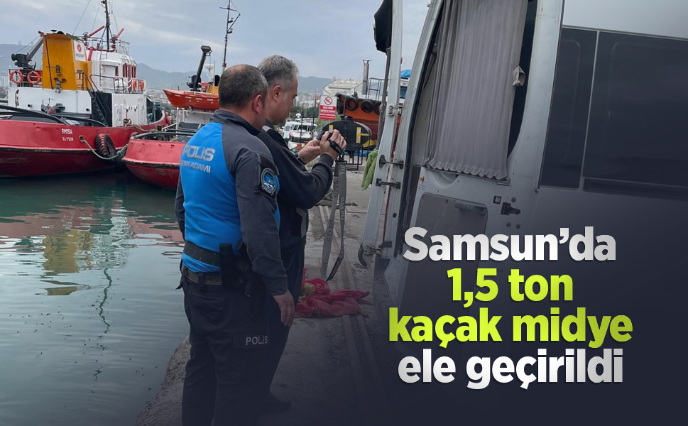 Samsun’da 1,5 ton kaçak midye ele geçirildi - Samsun Haber | Samsun Son ...